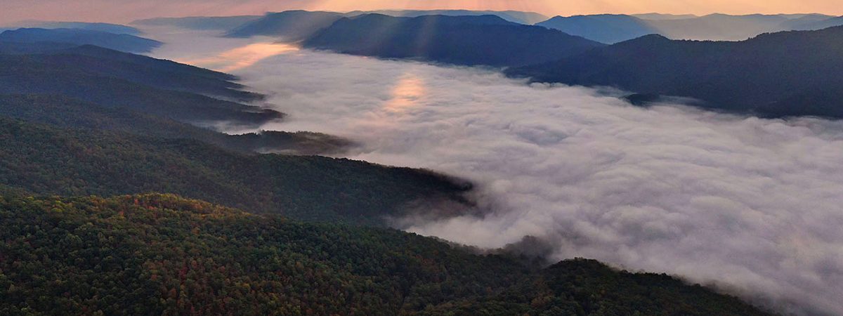 Laden Trail Preserve Expanded - KNLT