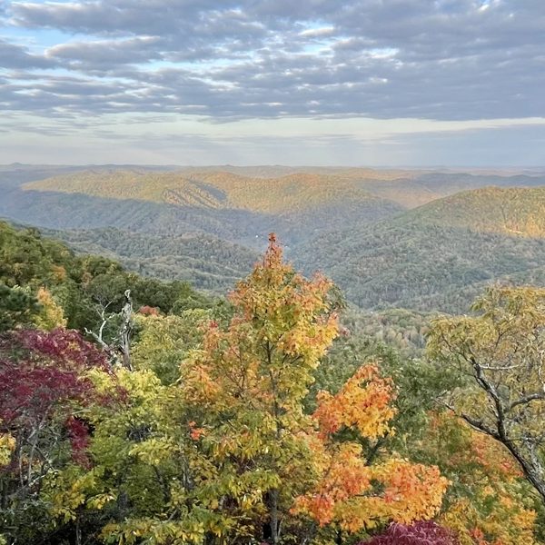 KNLT – Protecting, Connecting & Restoring Wildlands