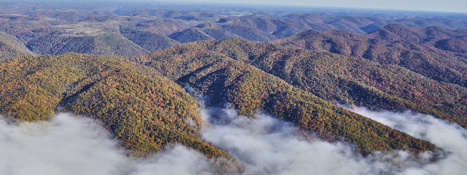 KNLT – Protecting, Connecting & Restoring Wildlands