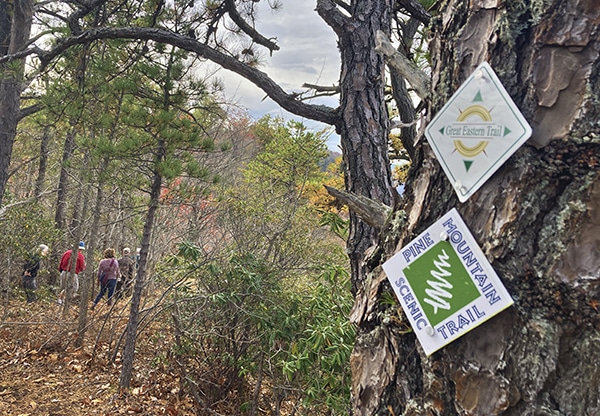 A Wild & Stellar Link In the Great Eastern Trail