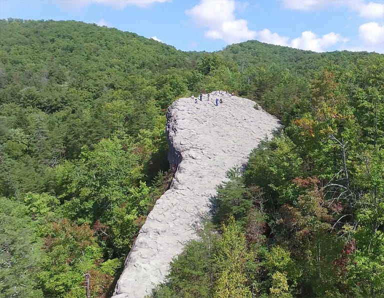 World Snake Day 2024: Revisiting the Flying Snakes of Knobby Rock - KNLT